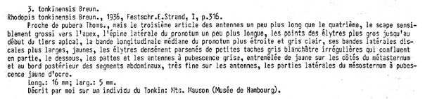 Cerambycoidea Forum - China: Similonedine brunniofasciata ♂♀